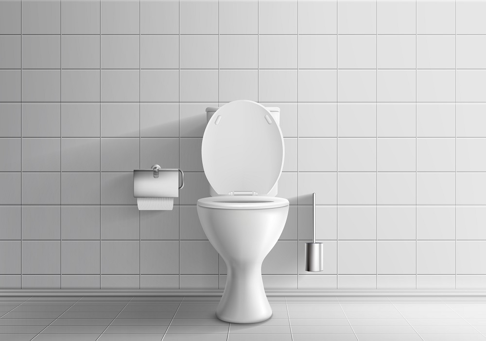 Flush Closet Duduk Rusak? Kenali 4 Cara Perbaikannya Disini - Gemilang Blog