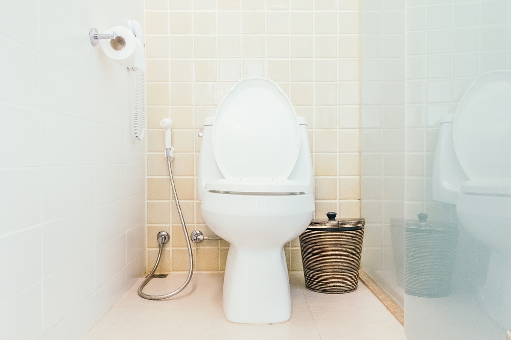 Flush Closet Duduk Rusak? Kenali 4 Cara Perbaikannya Disini - Gemilang Blog